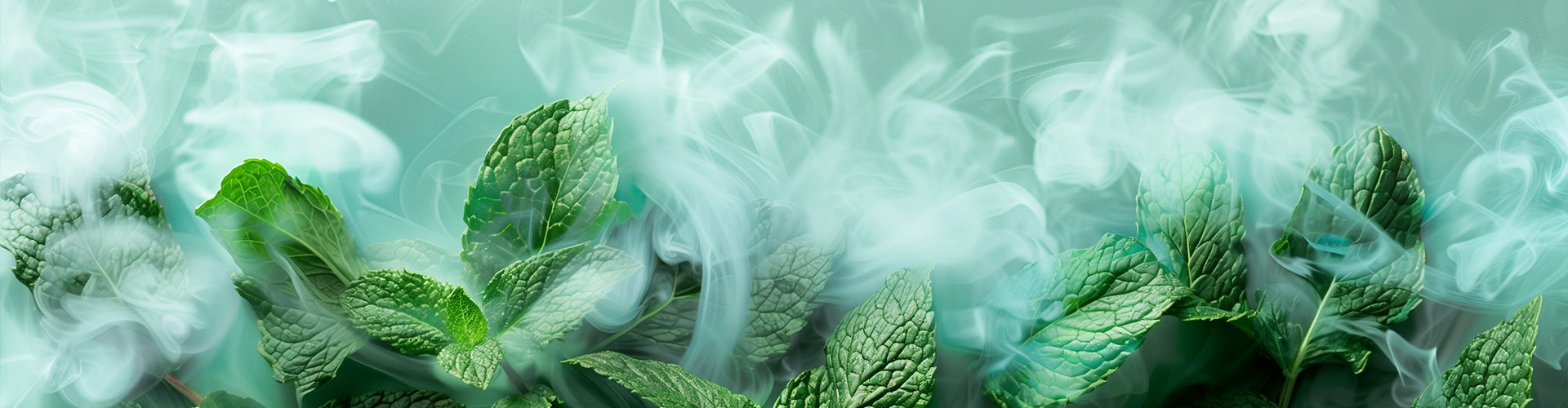 Menthol Madness: The Top 5 Best Menthol/Ice E-liquids